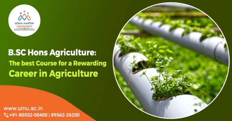 B.Sc Agriculture: best Course for a Rewarding Career in Agriculture