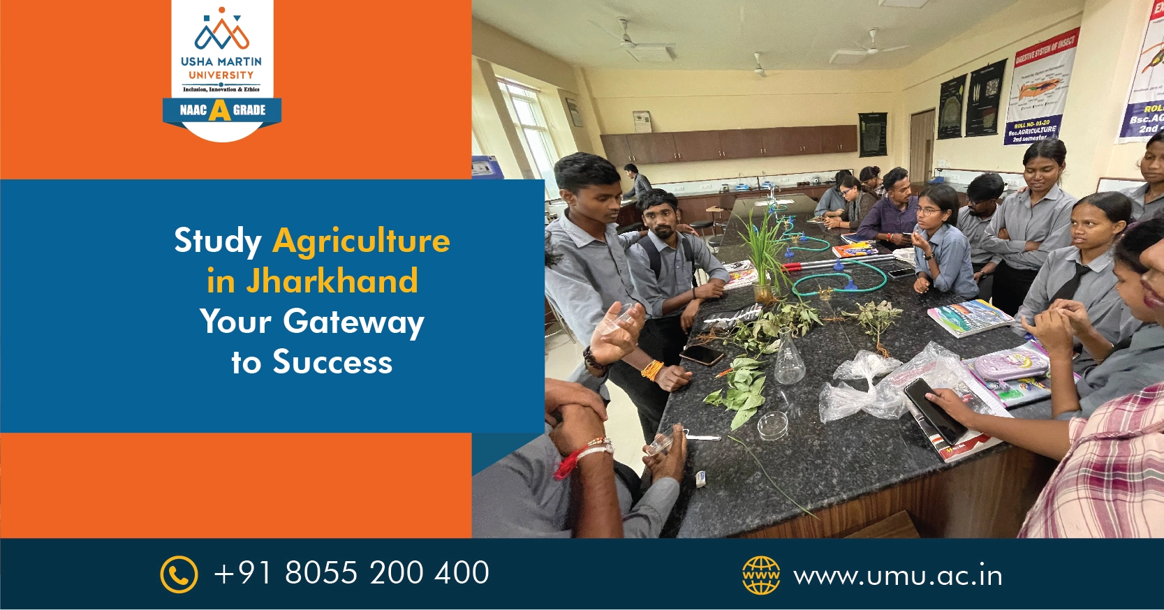 Study Agriculture in Jharkhand – Your Gateway to Success